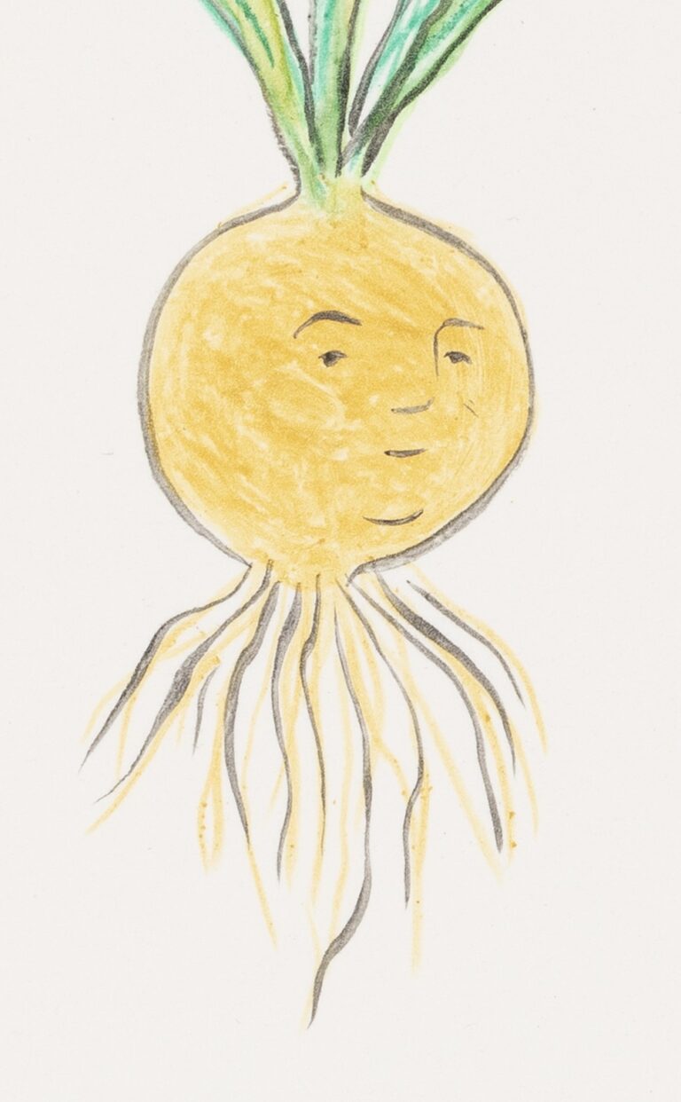 'Marginalia' by Nina Torr - David Krut Portal