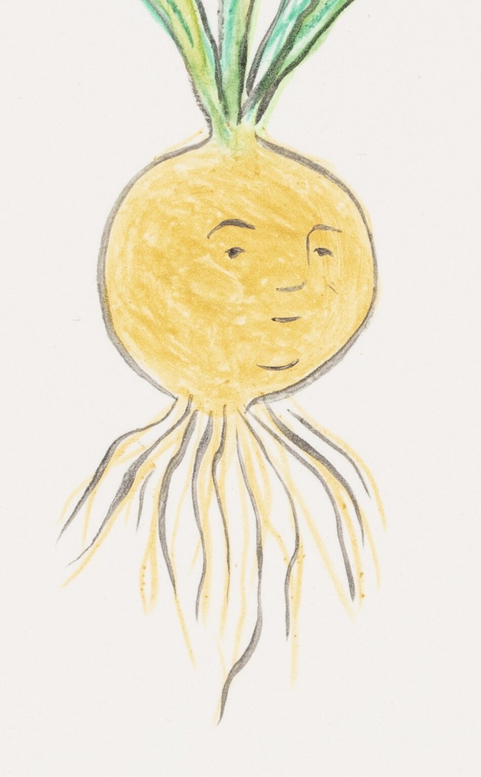 'Marginalia' by Nina Torr - David Krut Portal