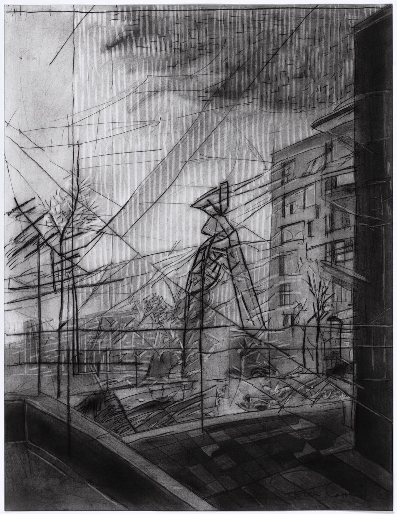 Peter Cohen: Dissolving Realities - David Krut Portal