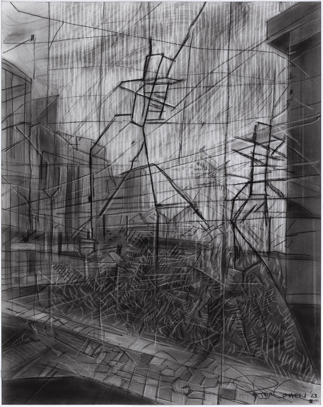 Peter Cohen: Dissolving Realities - David Krut Portal